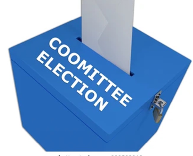 100 Marathon Club : 100 Marathon Club